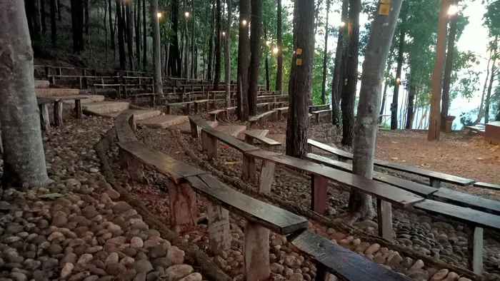 Puncak Pinus Becici: HTM, Jam Buka, Lokasi, hingga Aktivitas Menarik - PWDJ